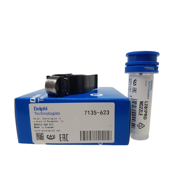 7135-623 DELPHI Repair kit (valve + nozzle) – pumpforddiesel.com