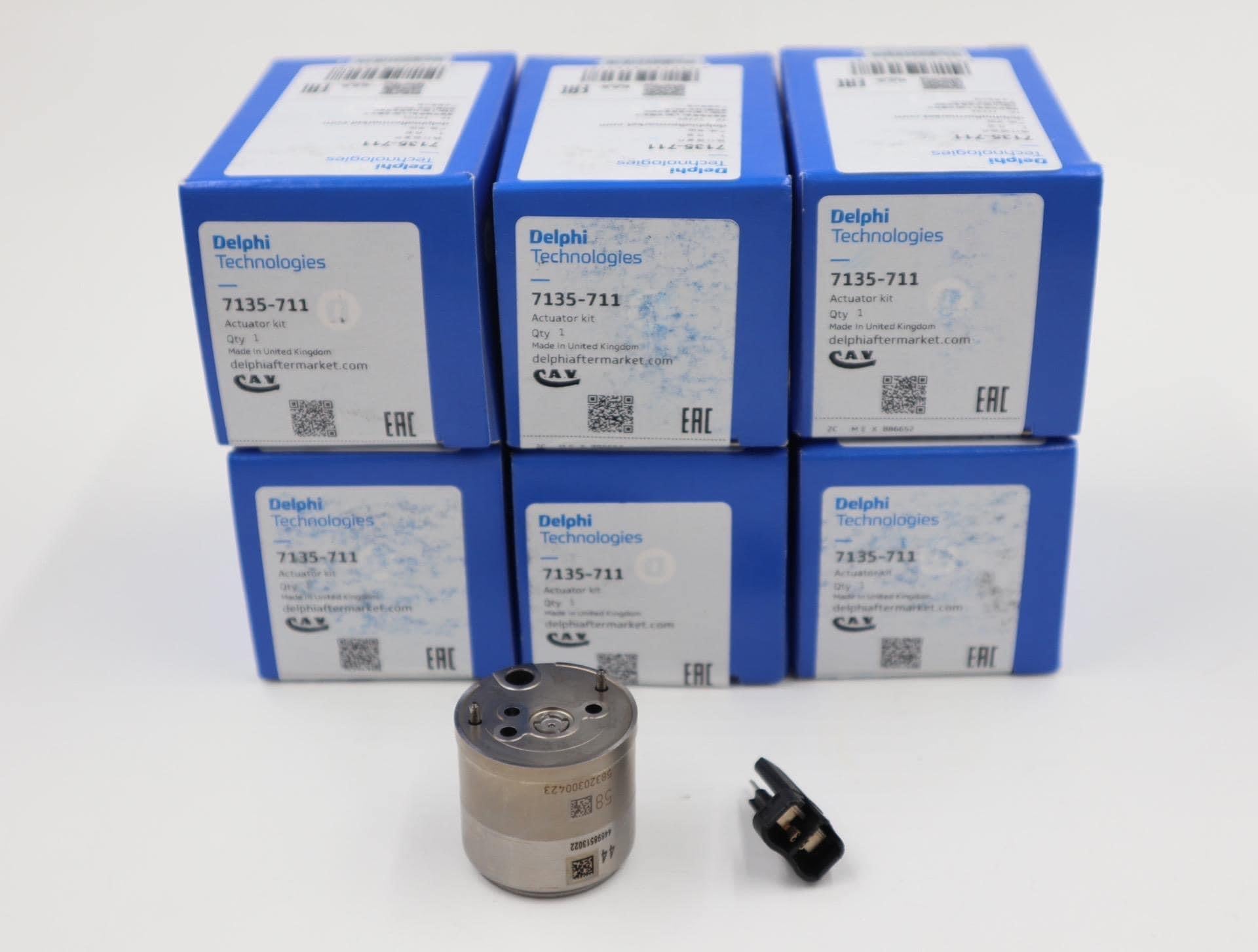 7135-711 DELPHI EUP Injector Pump Valve Kit / BEBU4B00000, BEBU4B00100 ...