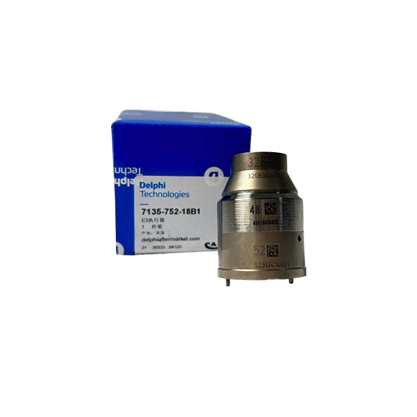 7135-752 DELPHI Injector Pump Valve Kit EUI E3.27 – pumpforddiesel.com